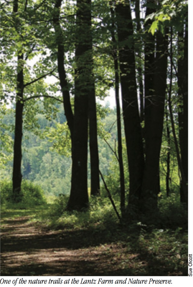 Lantz farm nature preserve – jen's ancestors